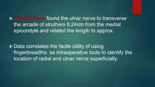 Reliable method of radial and ulnar nerve identification during the ...