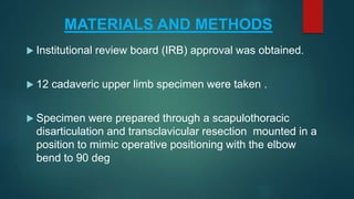Reliable method of radial and ulnar nerve identification during the ...