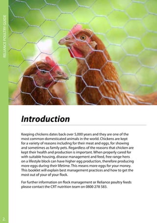 poultry guide | PDF