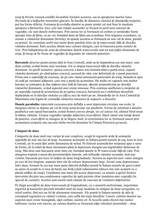 Relief desertic | PDF