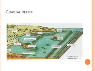 Relief of the coasts | PPT