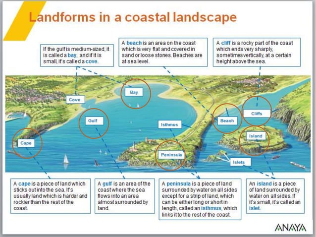 Relief of the coasts | PPT