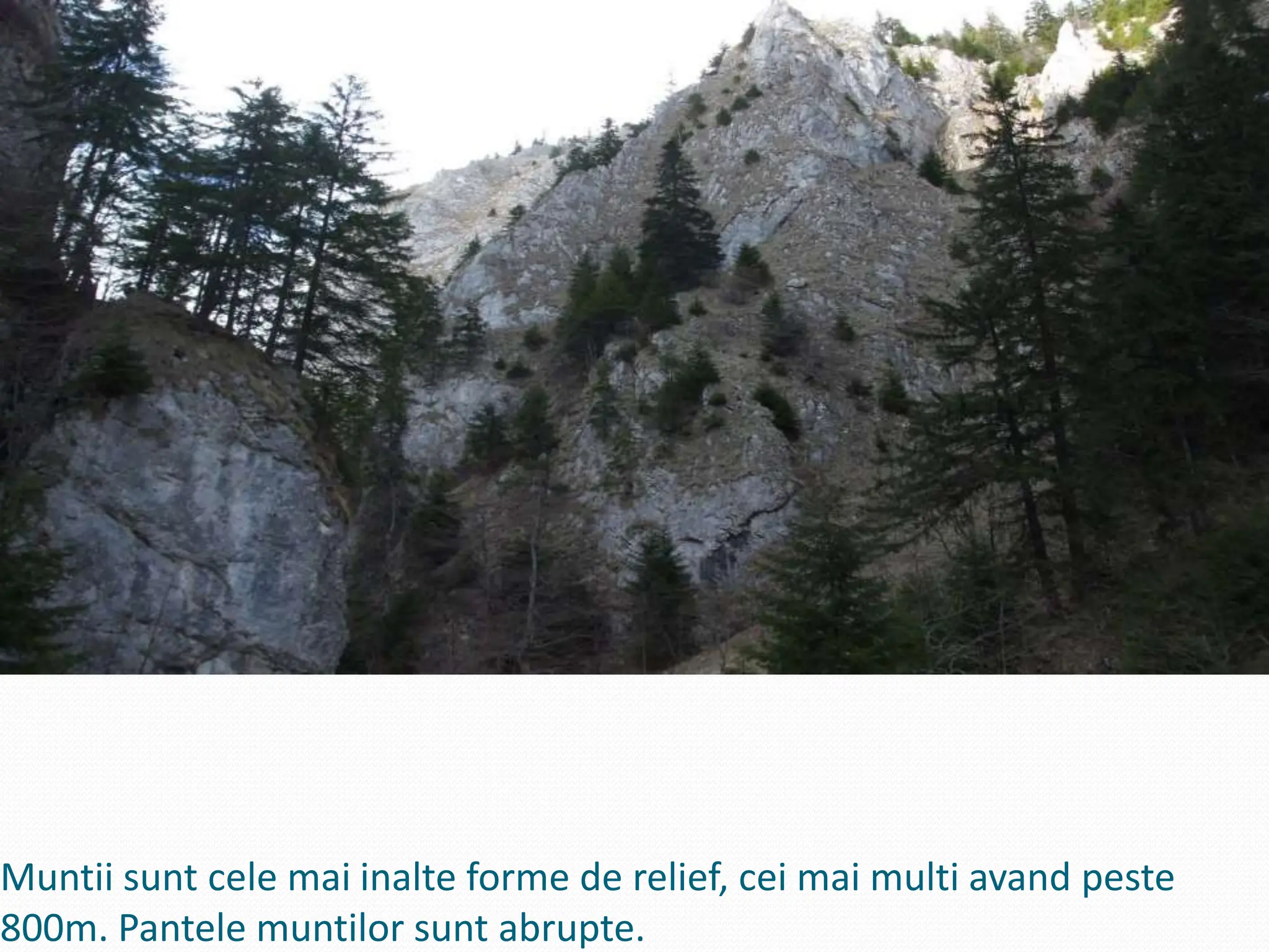 relieful_romaniei_clasa_a.pptx