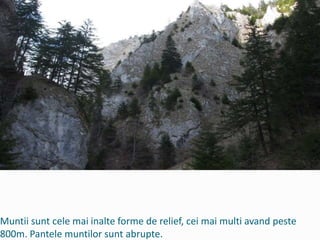 relieful_romaniei_clasa_a.pptx