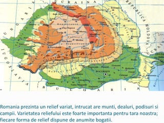 relieful_romaniei_clasa_a.pptx