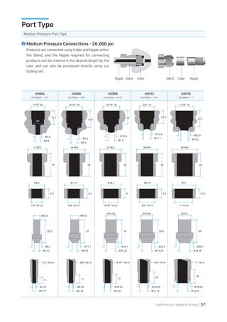 [HIFLUX] High Pressure Relief Valve Catalog 2025 | PDF