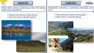 RELIEVE ANDINO PERUANO.pptx