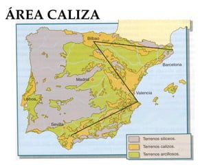 RELIEVE CÁRSTICO | PPT