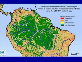Relieve de brasil | PPT
