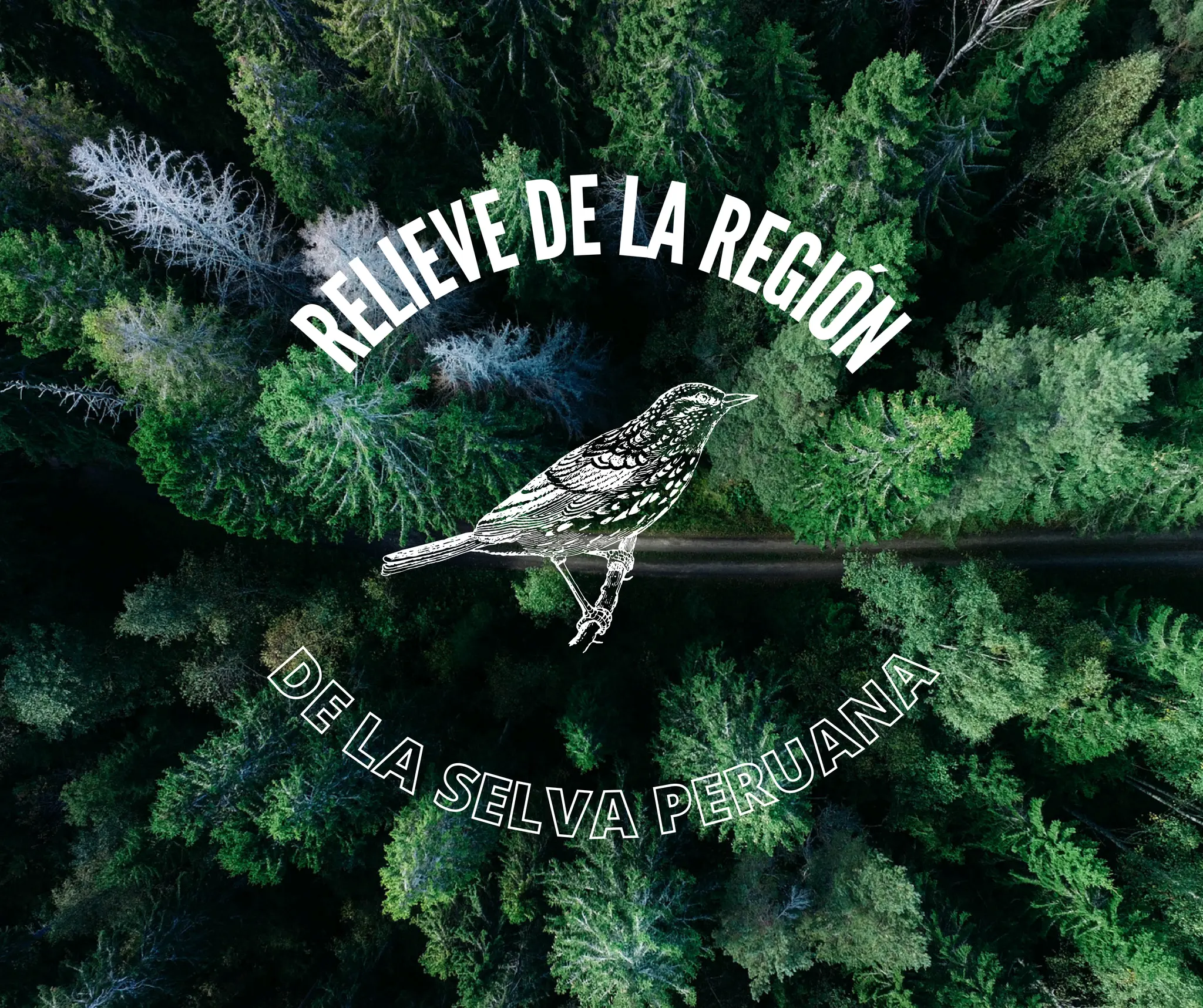 Relieve de la Región de la Selva Peruana.pdf