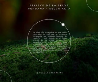Relieve de la Región de la Selva Peruana.pdf