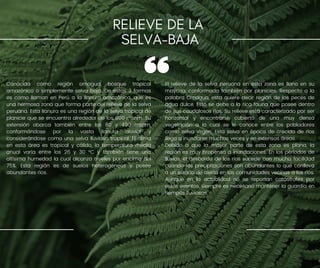 Relieve de la Región de la Selva Peruana.pdf