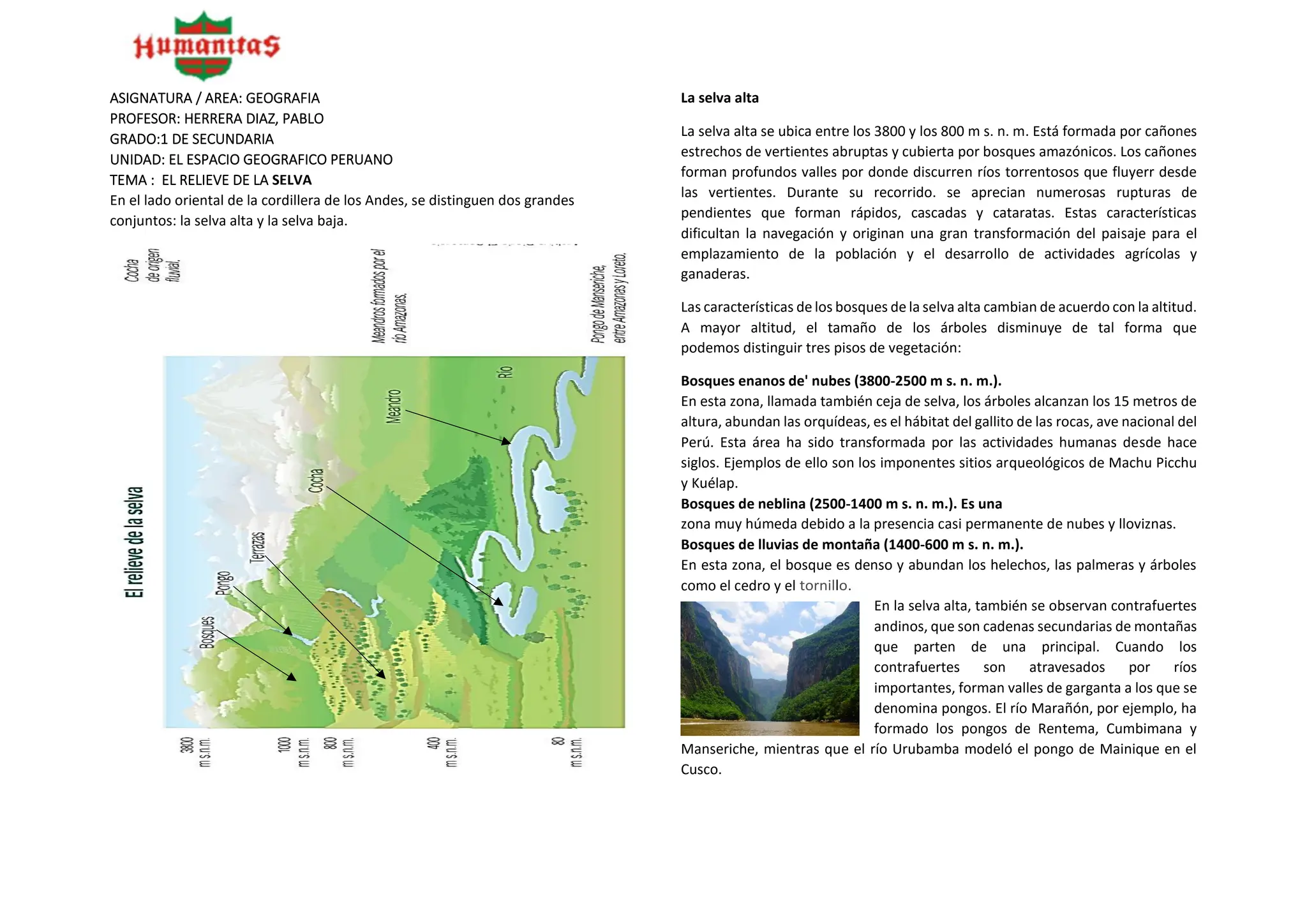 relieve y características de selva.pdf