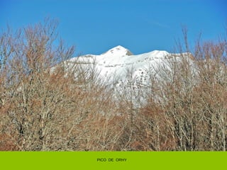 Relieve MontañA Y Cuencas | PPT