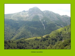 Relieve MontañA Y Cuencas | PPT