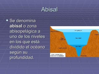 Vocabulario del Relieve | PPT