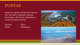 Relieve peruano(2) | PDF