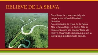 Relieve peruano(2) | PDF