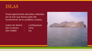 Relieve peruano(2) | PDF
