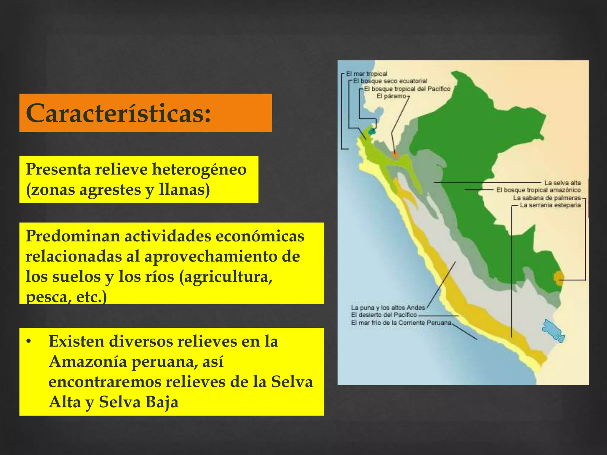 Relieve peruano | PPT