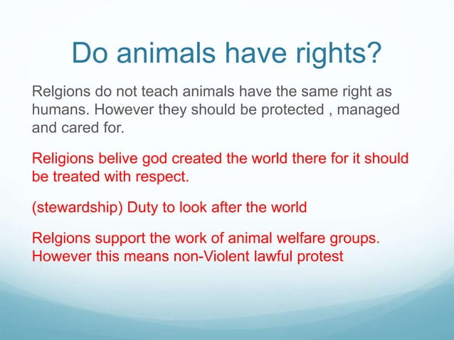 Religion and animals | PPTX