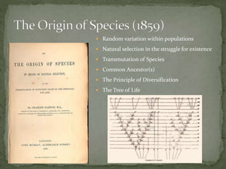 Religion and Science in the Victorian Period | PPTX