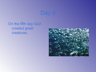 Religious Literacy Assessment | PPT