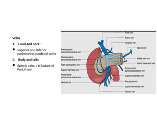 Relevant Anatomy of pancreas with review of biliary system | PPTX