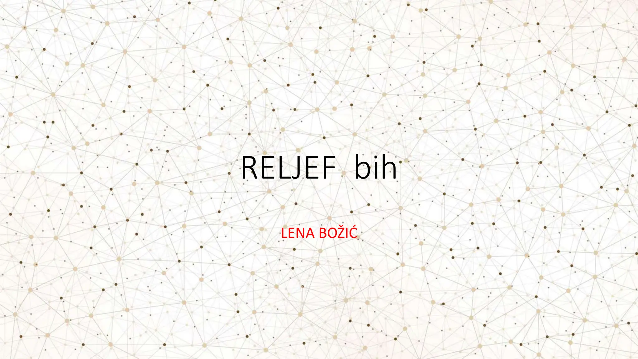 RELJEF bih.pptx