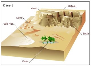 Reljefni oblici | PPS