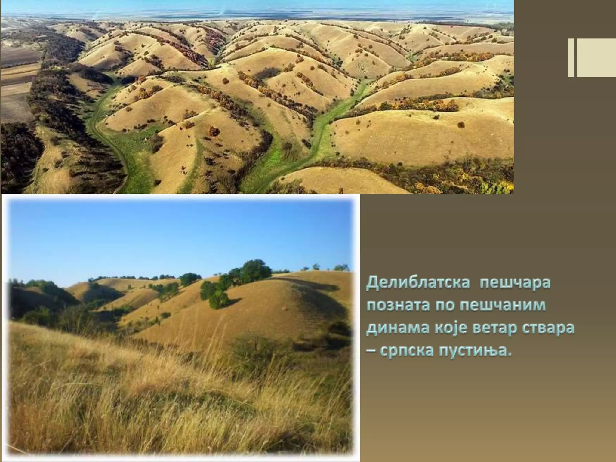 Reljef Srbije - by Djusa | PPTX