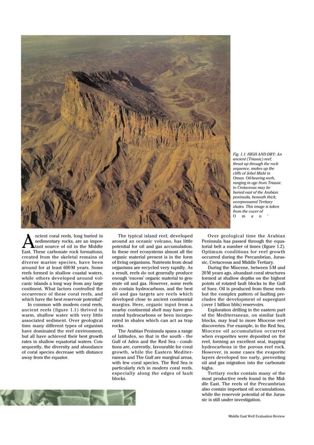 SLB Report on Geological Reefs | PDF | Geography | Science