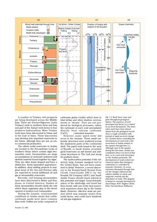 SLB Report on Geological Reefs | PDF