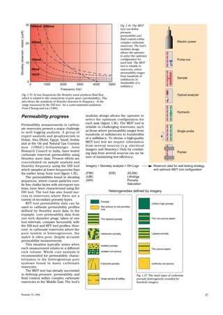 SLB Report on Geological Reefs | PDF