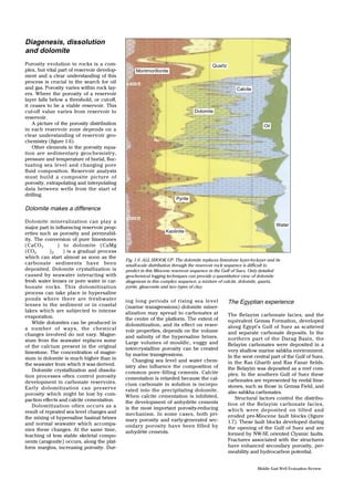 SLB Report on Geological Reefs | PDF