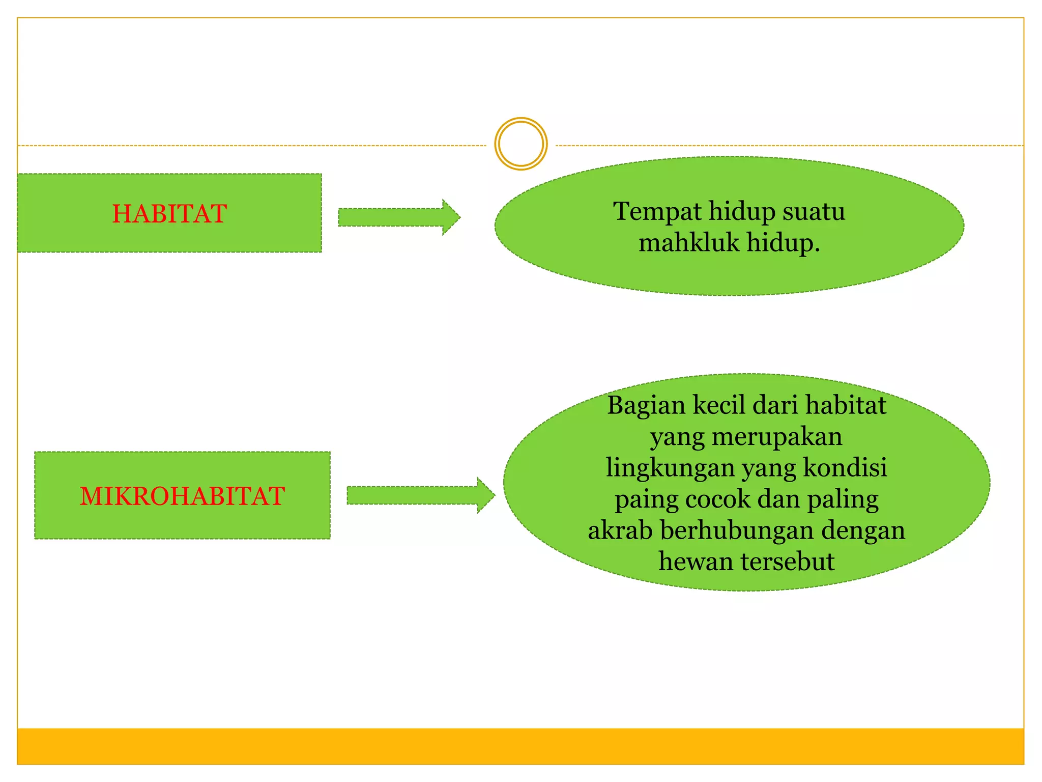 Relung pada hewan | PPTX