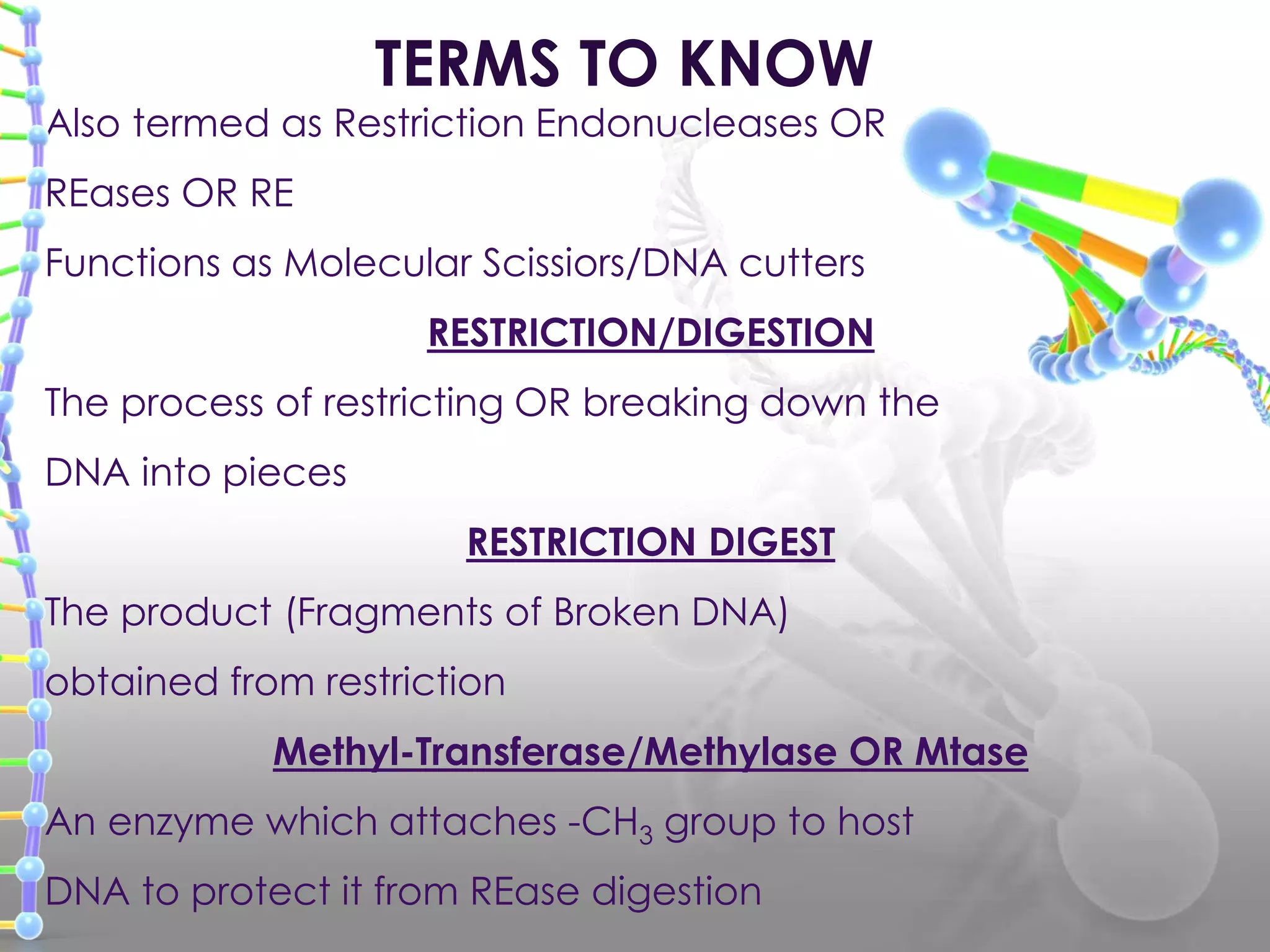 Restriction Endonucleases/Enzymes/PCR/DNA | PPT