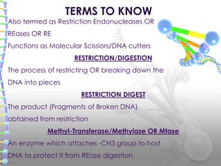 Restriction Endonucleases/Enzymes/PCR/DNA | PPTX