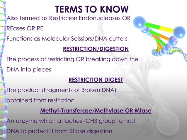 Restriction Endonucleases/Enzymes/PCR/DNA | PPTX