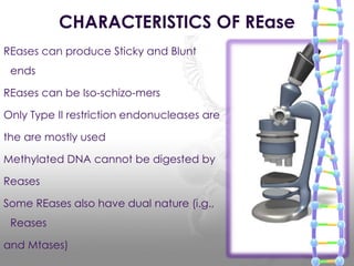 Restriction Endonucleases/Enzymes/PCR/DNA | PPTX