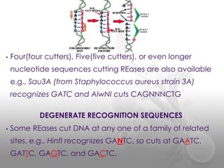 Restriction Endonucleases/Enzymes/PCR/DNA | PPTX