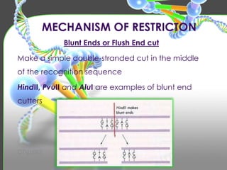 Restriction Endonucleases/Enzymes/PCR/DNA | PPTX