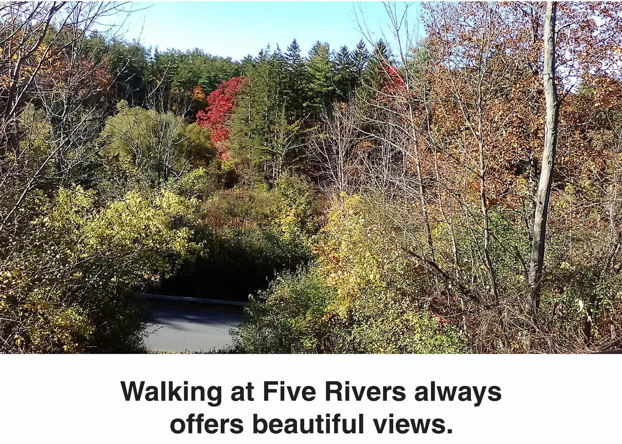 Rema Goldstein | PDF