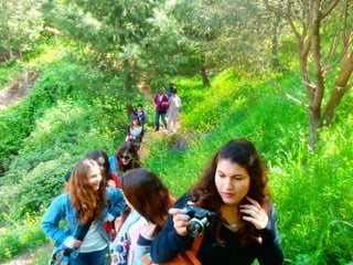 Rematia teliko | PPT