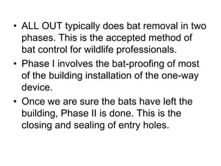 ALL OUT Wildlife Control Bat presentation | PPT