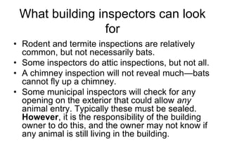 ALL OUT Wildlife Control Bat presentation | PPT