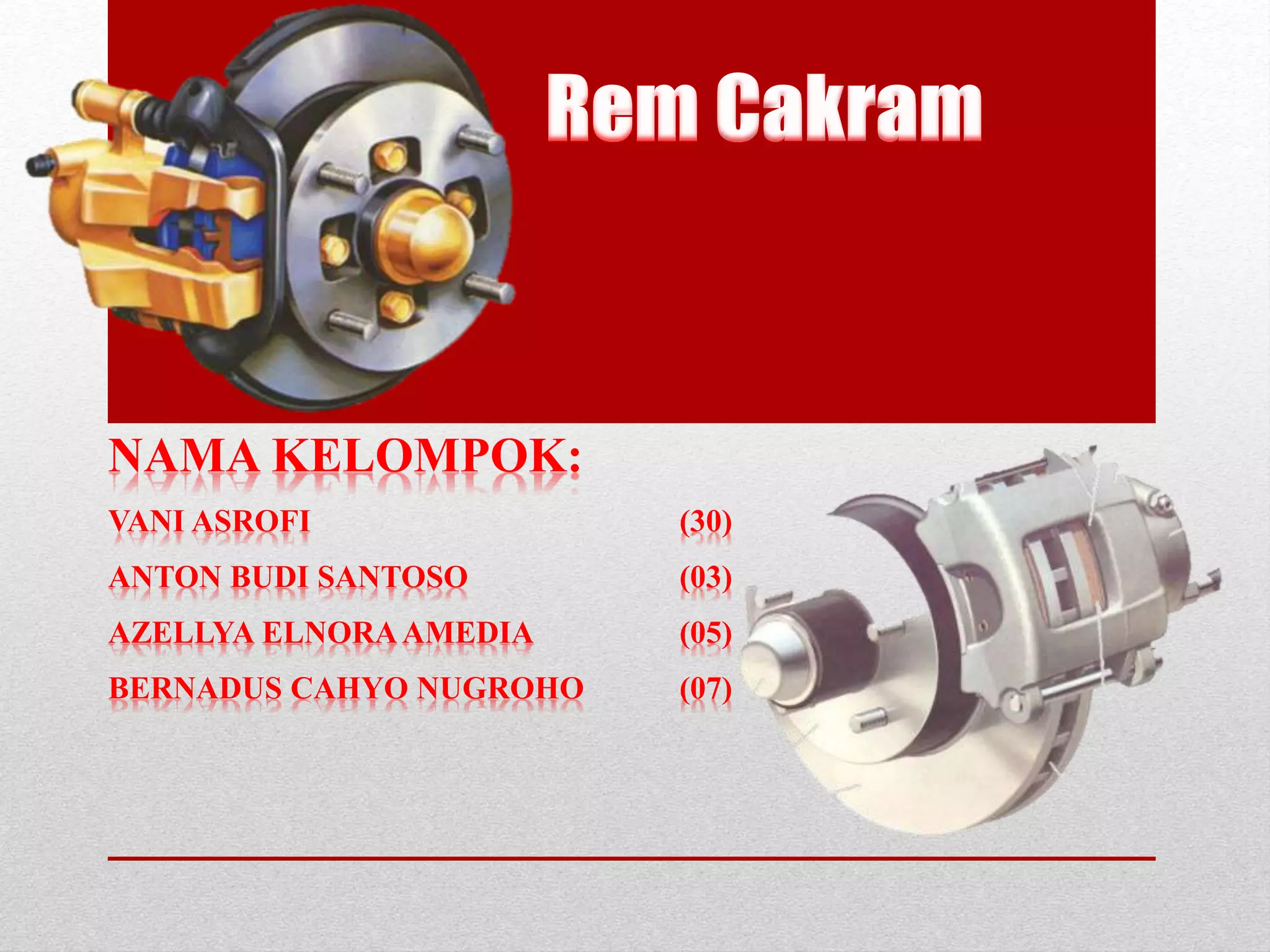 Rem cakram | PPTX