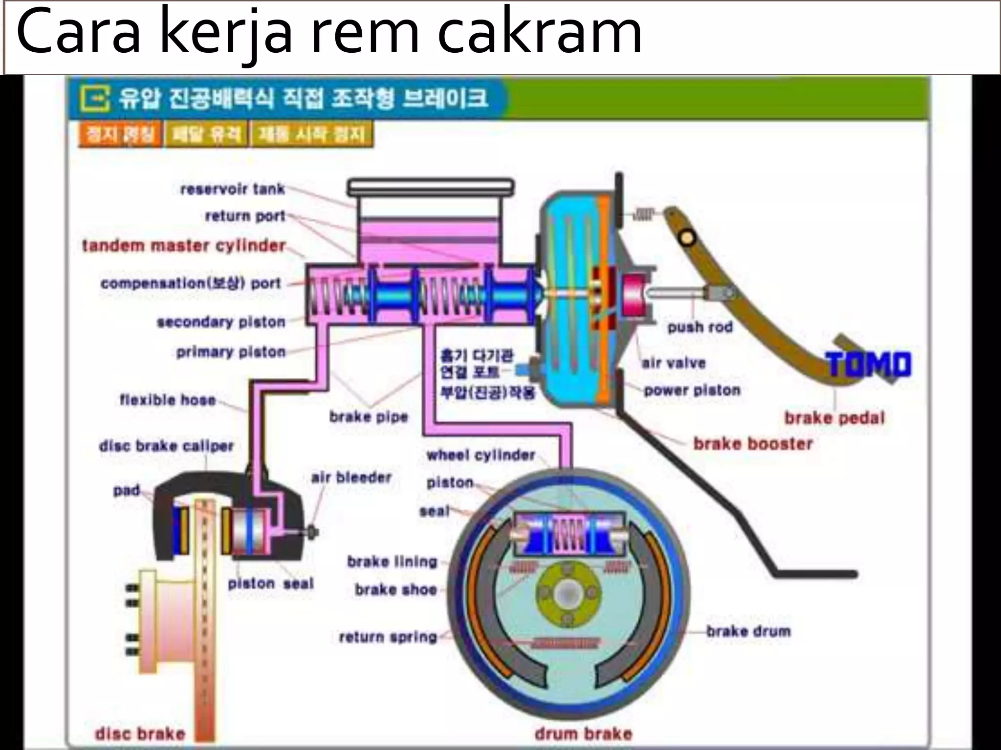 Rem cakram | PPTX