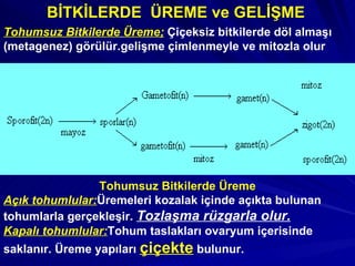 üReme Bitkilerde üReme | PPS