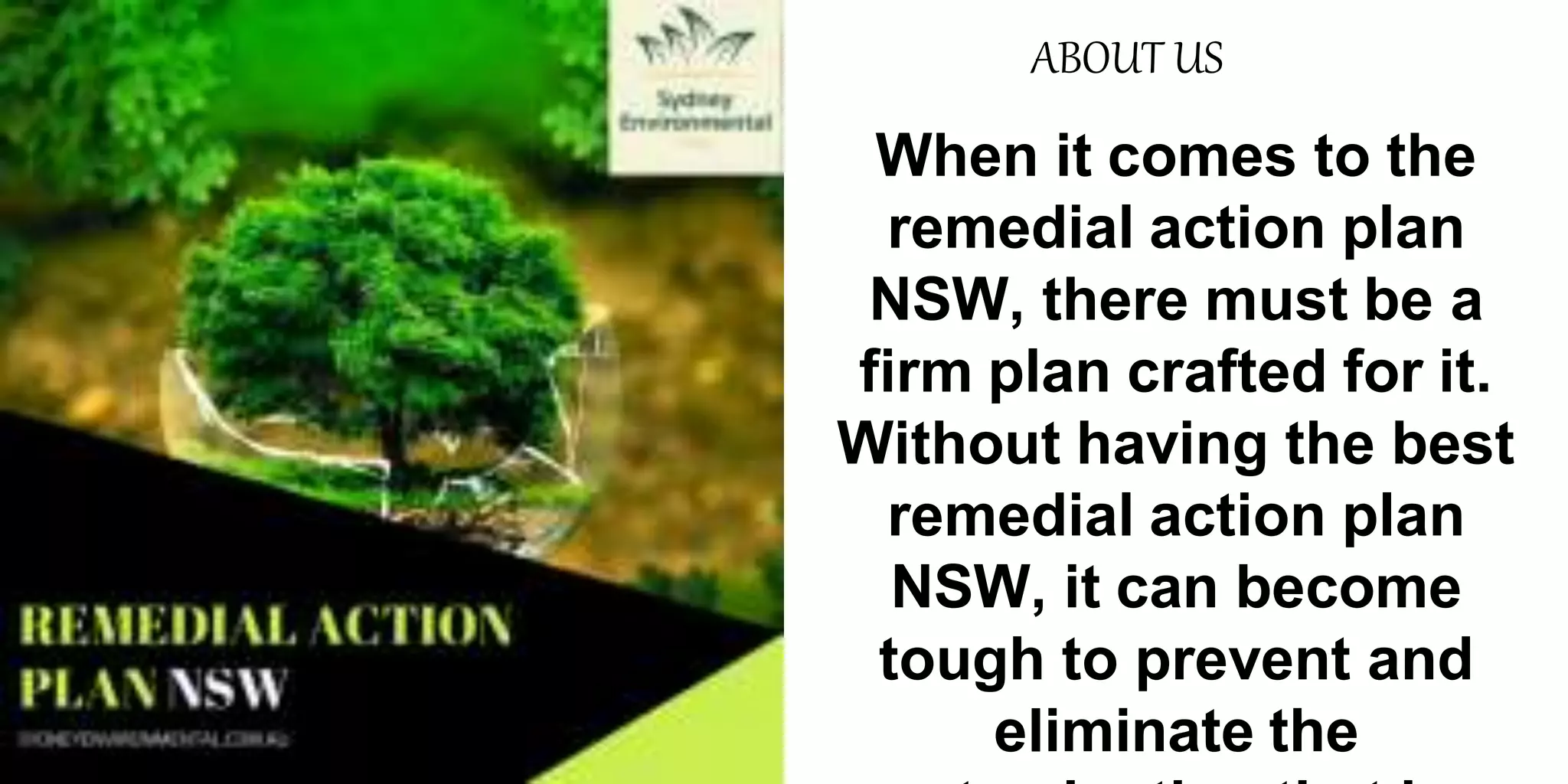 Remedial action plan nsw | PPT